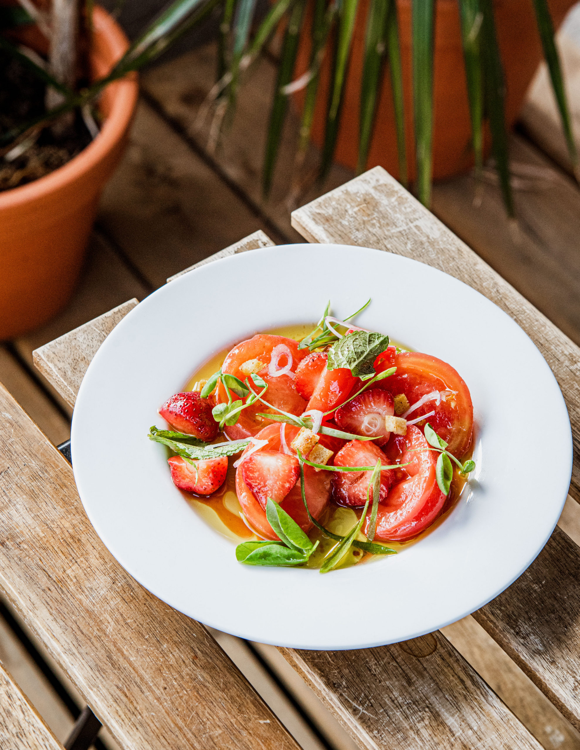 Bar Koukla | An Intimate Snack Bar by Mamakas | 88 Ossington Ave